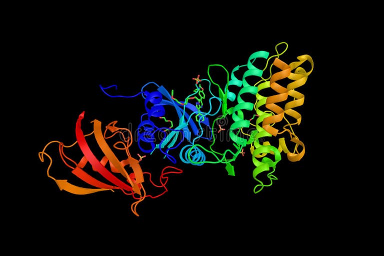 Bone Pathway Stock Illustrations – 117 Bone Pathway Stock Illustrations ...