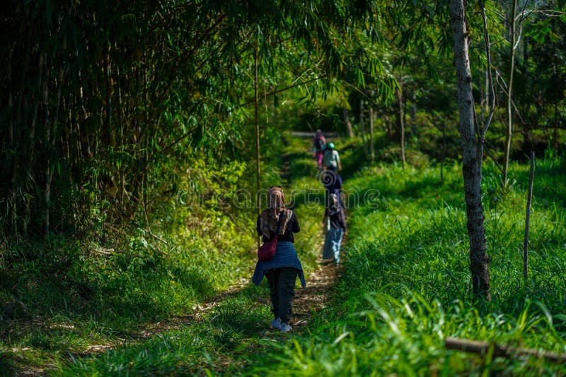 Activities of Young People Who are Climbing in the Mount Merapi Area ...