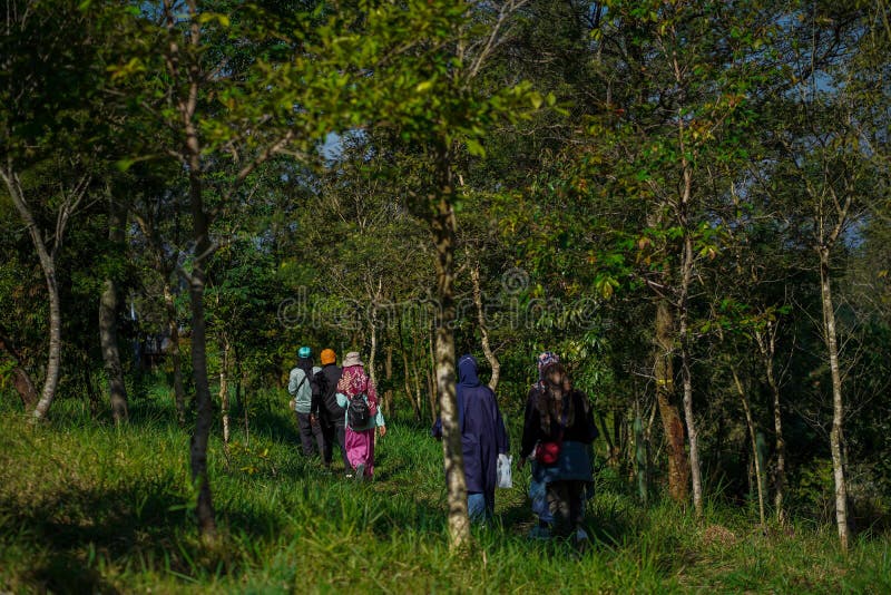 Activities of Young People Who are Climbing in the Mount Merapi Area ...