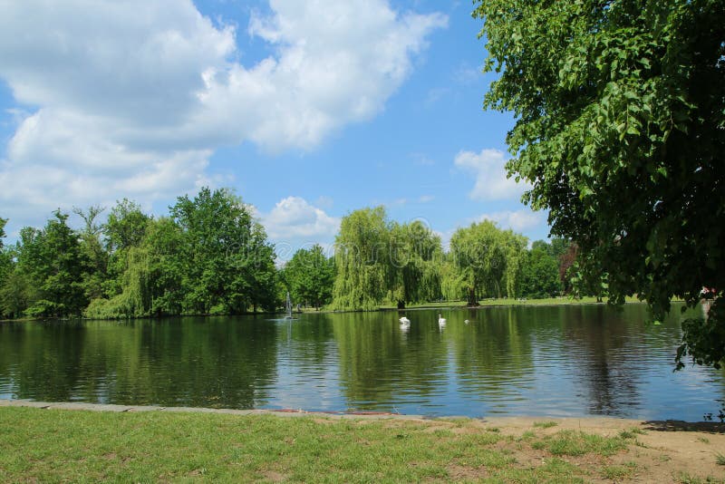 Activity Area Park in Prague Called "Stromovka" Stock Image - Image of ...