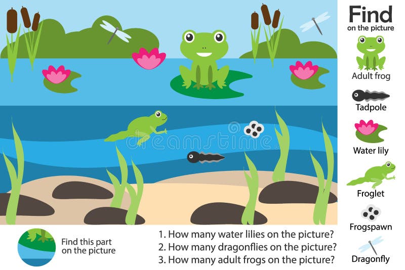Frogspawn in Cartoon Style, Pond Card for Kid, Preschool Activity for ...