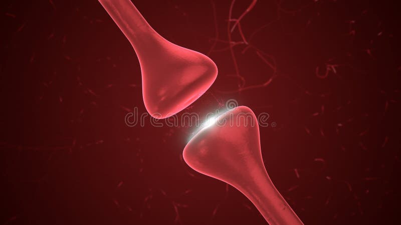 Neuron Receptor and Synapse Activity Stock Illustration - Illustration ...