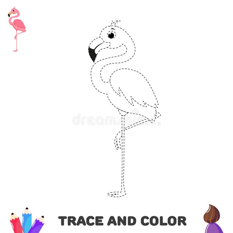 Activity Worksheet for Kids. Trace and Color Flamingo Stock Vector ...