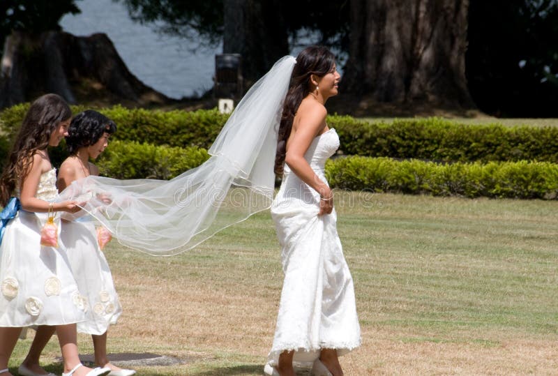 Actor Cliff Curtis Bride editorial photography. Image of tapuaekura ...