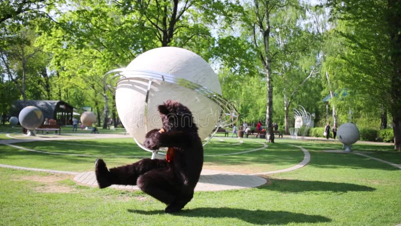 Actor Dressed As Bear Moves Squatted in Folk Dance Stock Footage ...