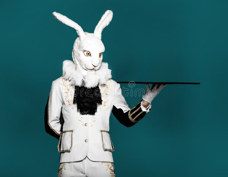 2,032 Rabbit Suit Stock Photos - Free & Royalty-Free Stock Photos from ...