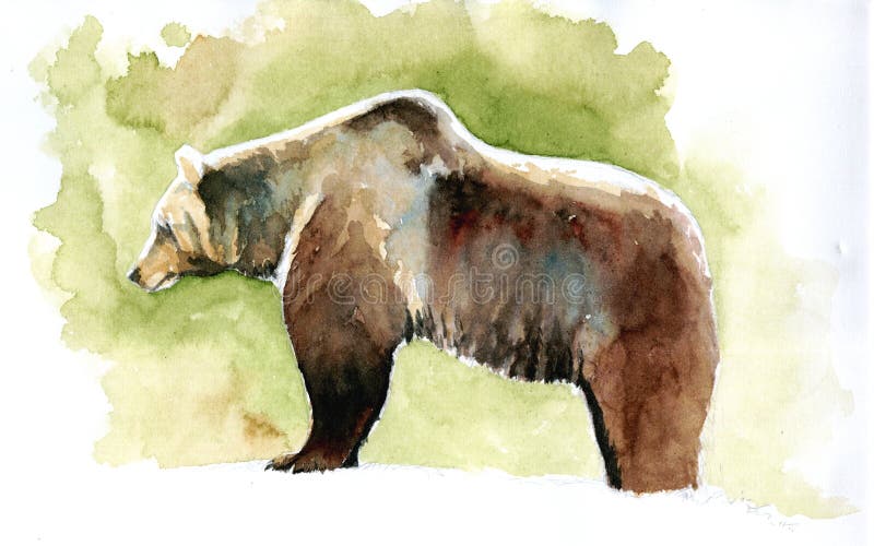 Acuarela del oso stock de ilustración. Ilustración de arte - 54200313