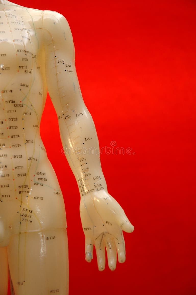 321 Ancient Acupuncture Statue Stock Photos - Free & Royalty-Free Stock ...