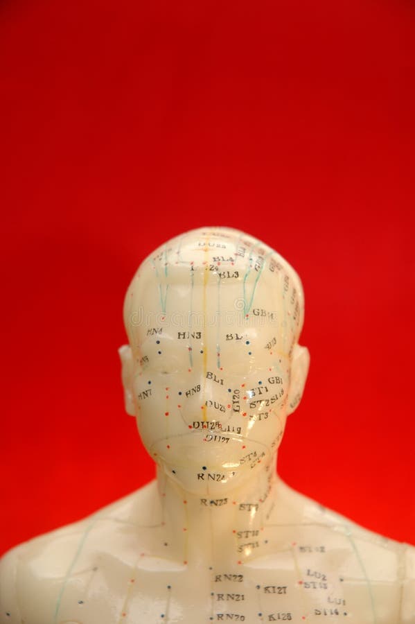 Acupuncture Model Back stock photo. Image of traditional - 532366