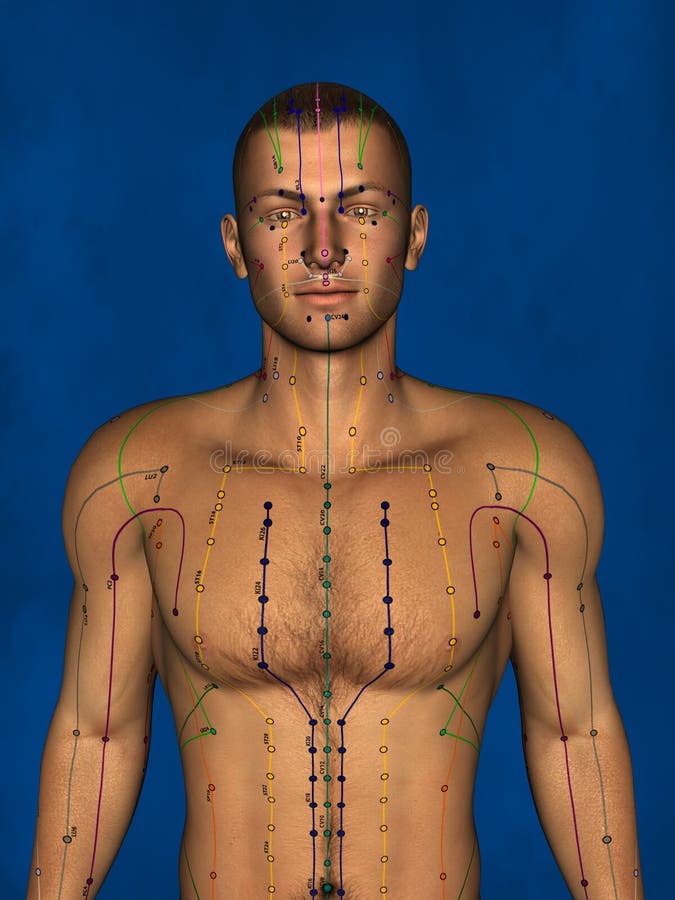 Acupuncture, 3D Model stock illustration. Illustration of meridian ...
