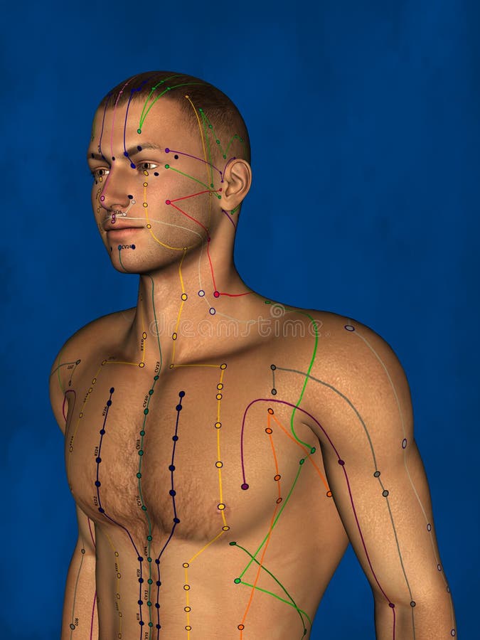 Acupuncture, 3D Model stock illustration. Illustration of acupuncturist ...
