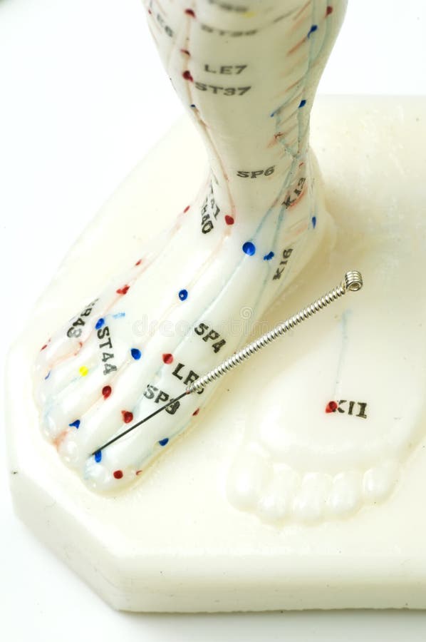 Acupuncture Demonstration on Hand Model Stock Photo - Image of teaching ...