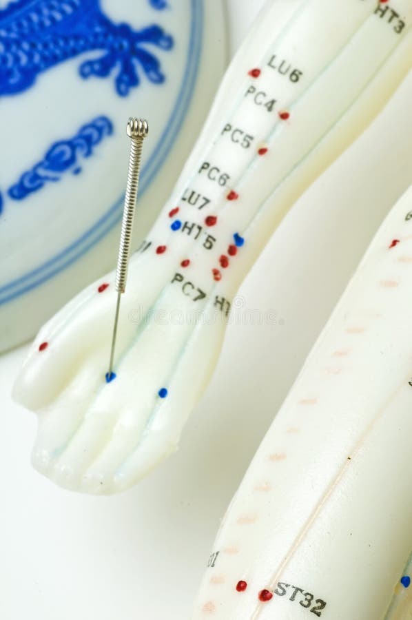 Acupuncture Demonstration on Model Stock Photo - Image of macro ...
