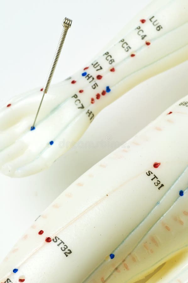 Acupuncture Demonstration on Model Stock Photo - Image of heritage ...