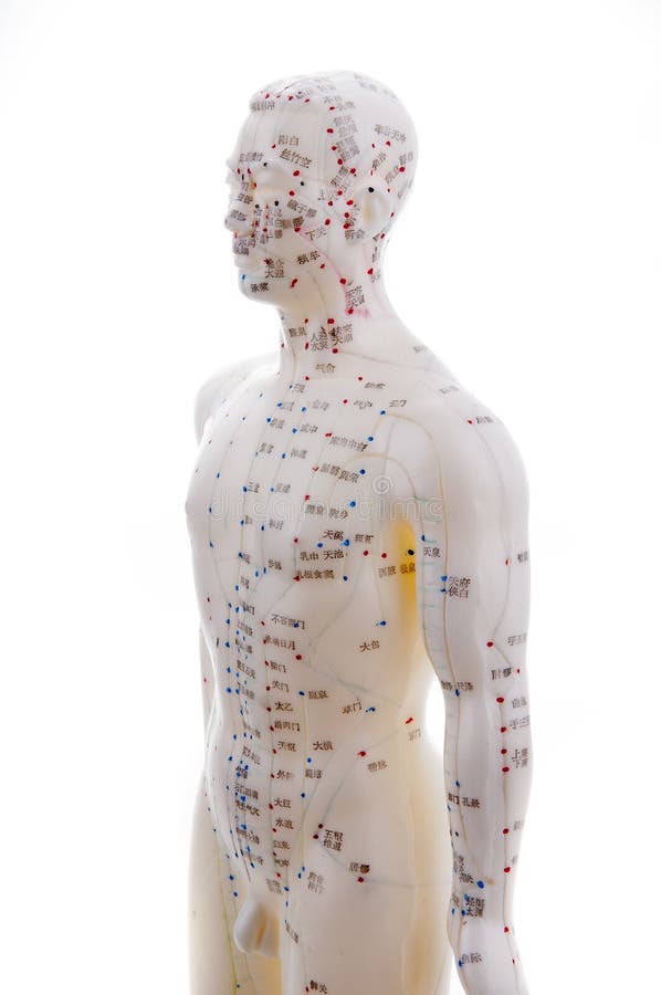 Acupuncture model stock image. Image of hurt, pain, model - 102820567