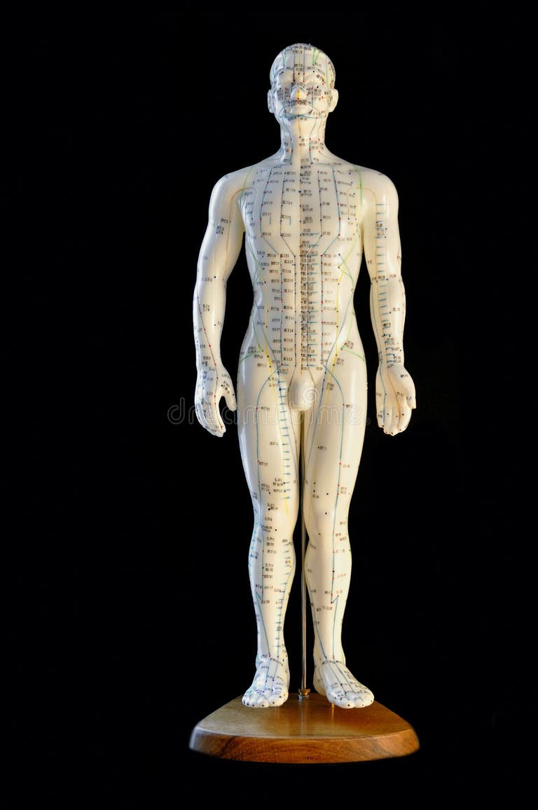 Ancient Acupuncture Meridian Stock Photos - Free & Royalty-Free Stock ...