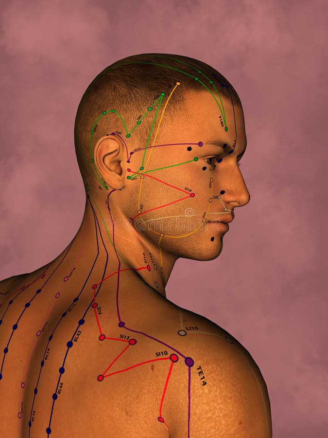Acupuncture Model, 3D Illustration Stock Illustration - Illustration of ...