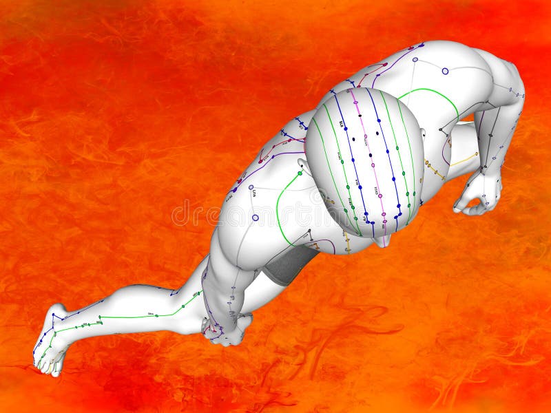 Acupuncture model stock illustration. Illustration of skin - 86960322