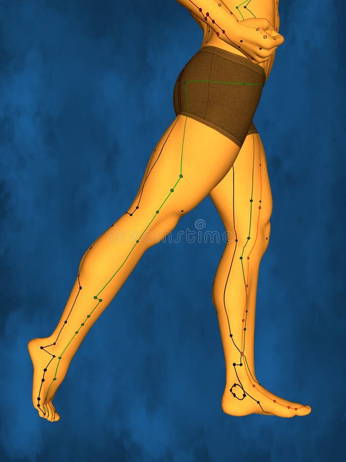 Acupuncture model stock illustration. Illustration of alternative ...