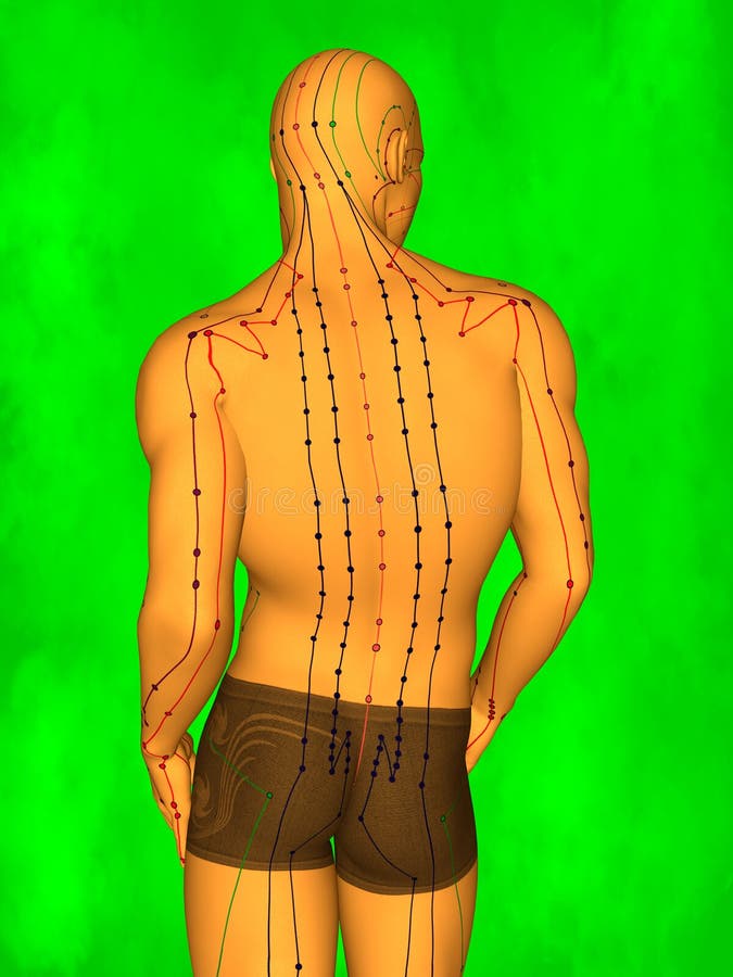 Acupuncture model stock illustration. Illustration of acupuncture ...