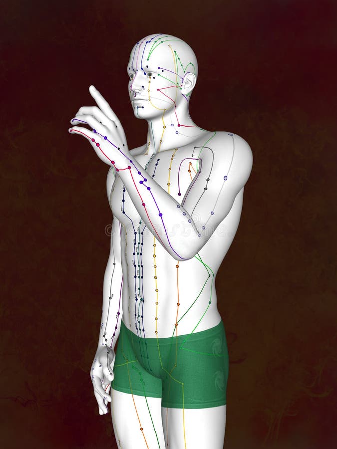 Acupuncture Model M-POSE EHP-02-7, 3D Illustration Stock Illustration ...