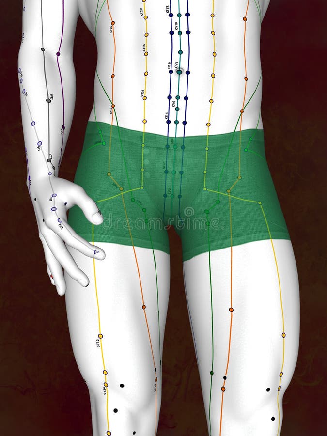 Acupuncture 3d Model Stock Illustrations – 1,873 Acupuncture 3d Model ...