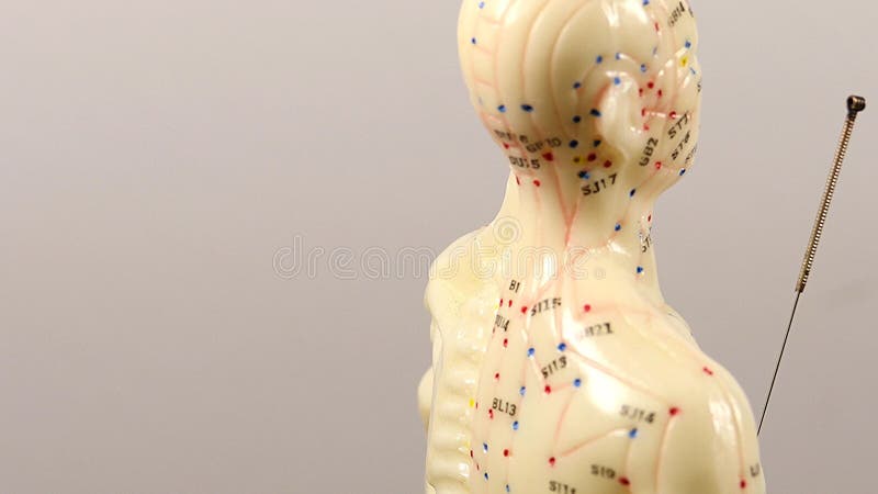 Acupuncture Needle on Acupuncture Model on Turn Table Stock Video ...