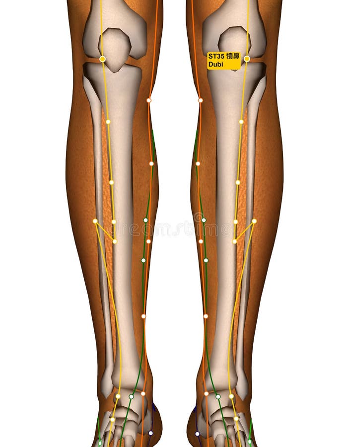 Body Meridians Stock Illustrations – 1,989 Body Meridians Stock ...