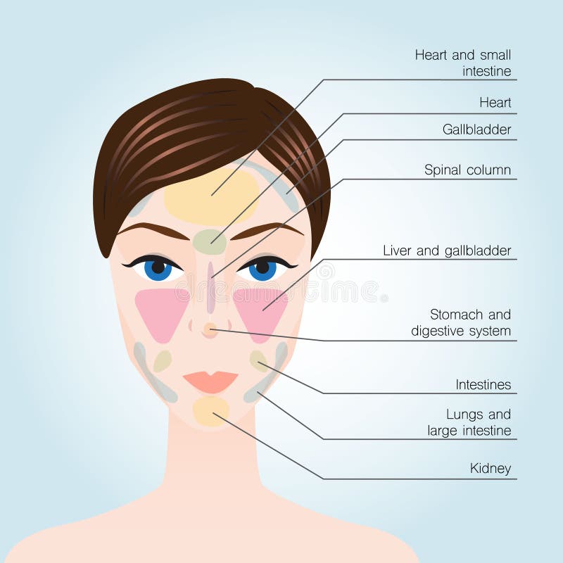 Acupuncture points on face stock illustration. Illustration of medical ...