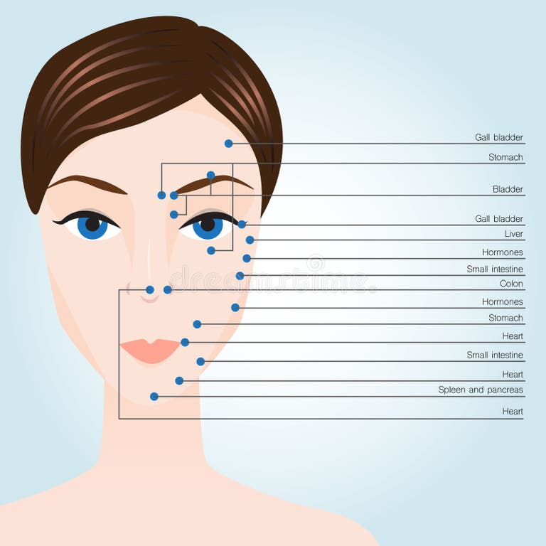 Acupuncture Points Face Stock Illustrations – 146 Acupuncture Points ...