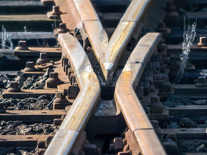 Acute Angle Railway Crossing with Frog Rail Stock Image - Image of ...