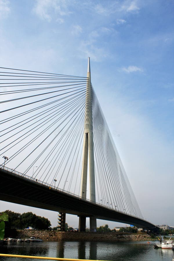 Ada Bridge in Belgrade, Serbia Stock Photo - Image of beautiful, pylon ...