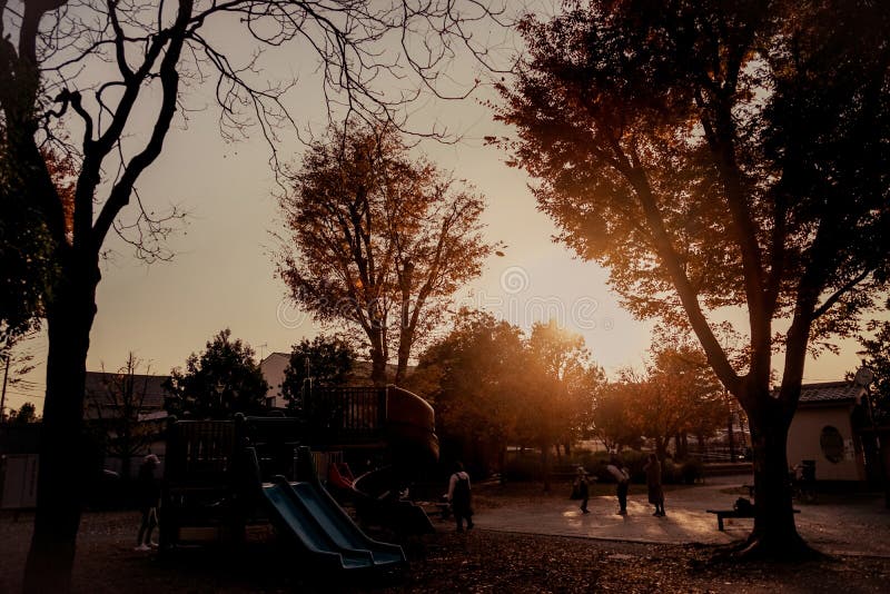 Adachi -ku park stock photo. Image of nature, walking - 257271386