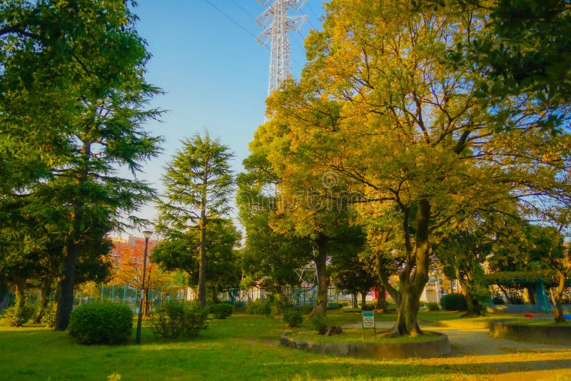 Adachi -ku park stock photo. Image of tokyo, insids - 257271520