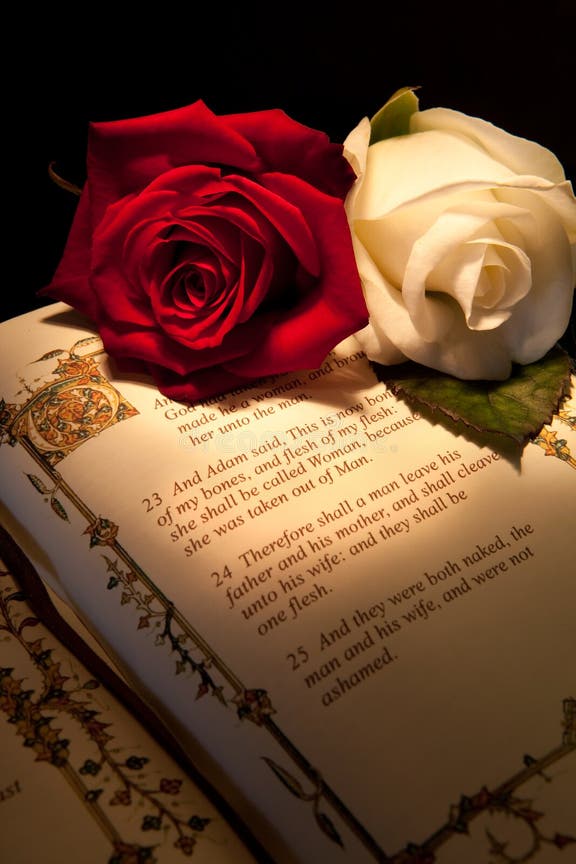 Adam and Eve in Genesis stock photo. Image of genesis - 10715438