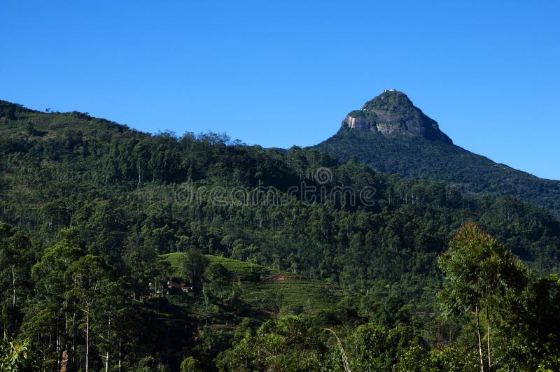 Adam s Peak - Sri Lanka stock photo. Image of lanka, hiking - 39701452