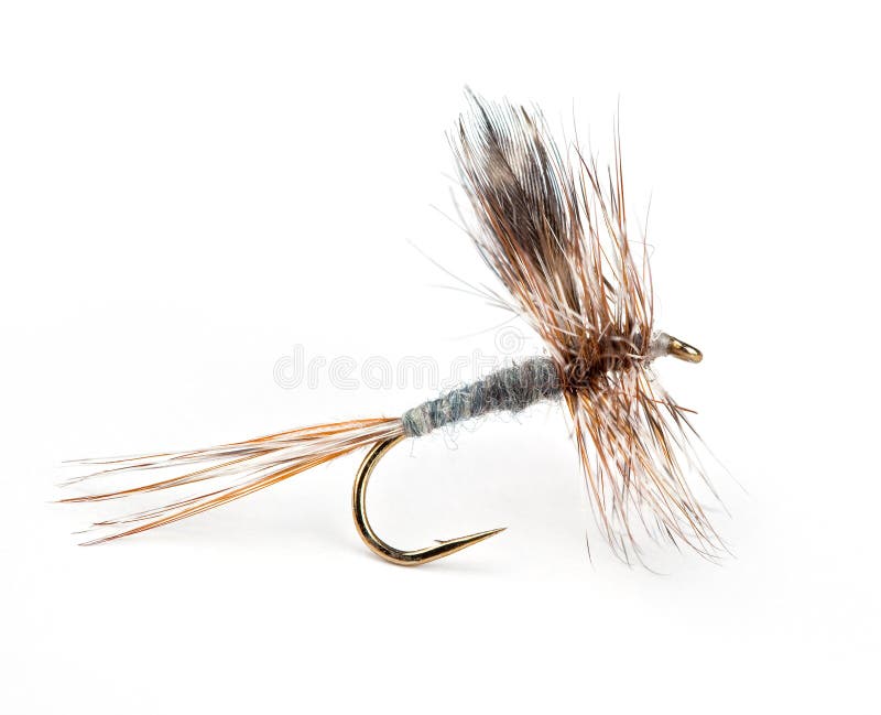 The Adams and Royal Wulff Dry Flies Stock Photo - Image of fishing ...