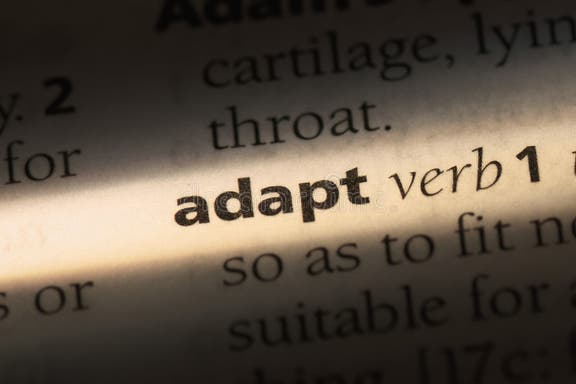 Adapt stock photo. Image of concept, definition, info - 114410032