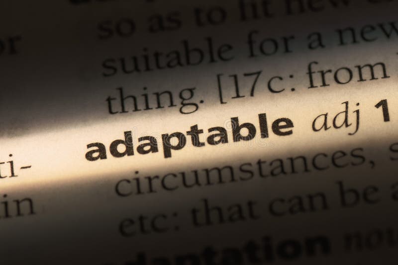 Adaptable imagen de archivo. Imagen de idea, palabra - 114409789