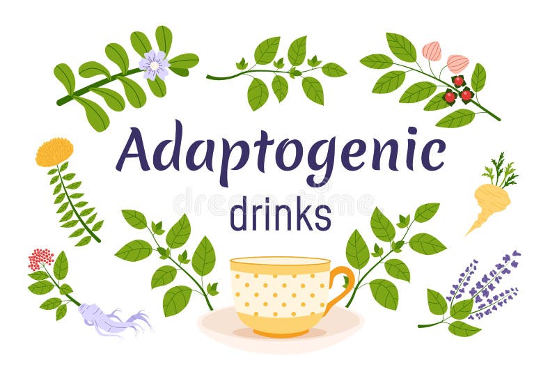 Adaptogen Drinks Concept. Set of Ayurvedic Herbs and Cup. Flat Vector ...