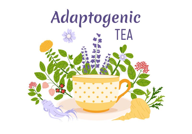 Adaptogen Tea Concept. Set of Ayurvedic Herbs and Cup Stock Vector ...