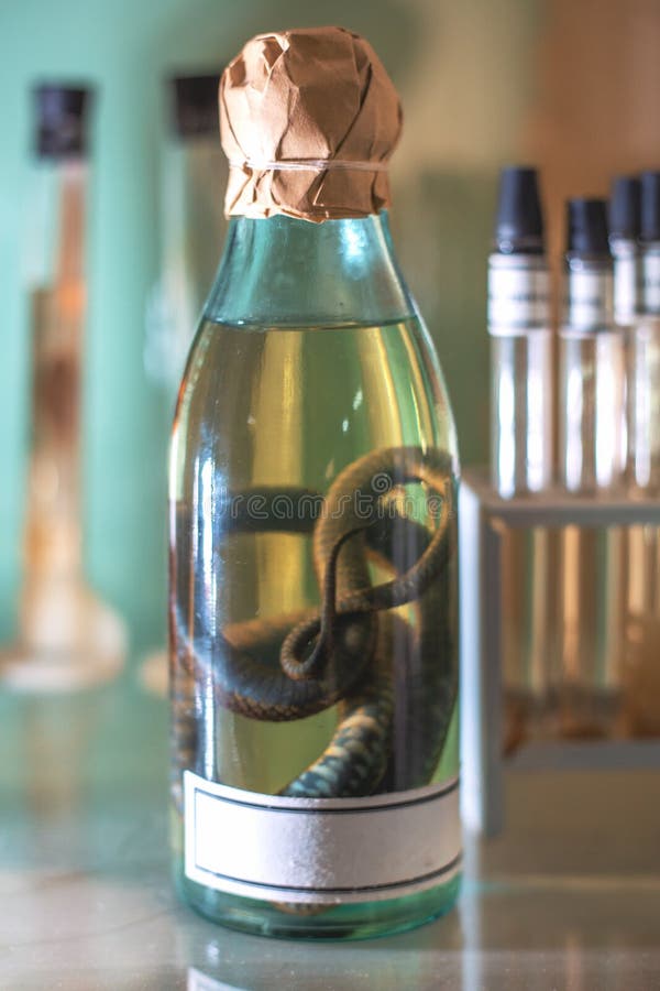 Adder Snake with Liquid Formaldehyde in Bottle As Sample or Specimen in ...