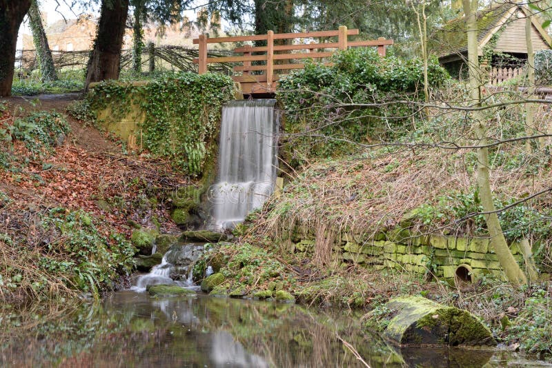 Adderbury Lakes stock image. Image of tree, grass, leaf - 66246759