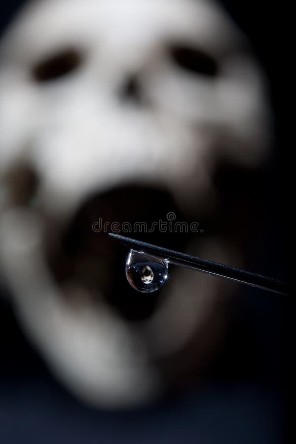 Human Skull Mouth Open Stock Photos - Free & Royalty-Free Stock Photos ...