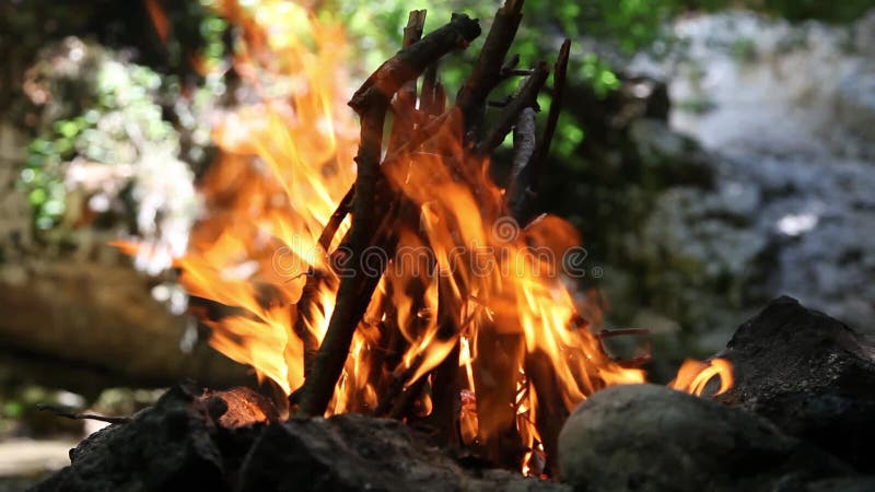 Adding Dry Branches To a Camp Fire Stock Footage - Video of camp ...