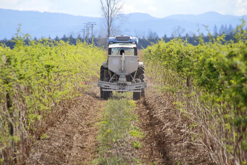 Adding Nutrients to Crop stock image. Image of outside - 68864823