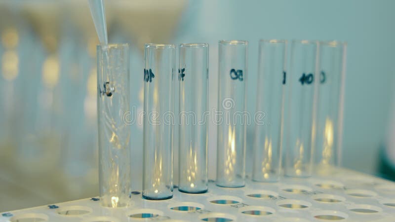 Adding the Reagent To the Test Tubes, Close-up. Conducting an ...