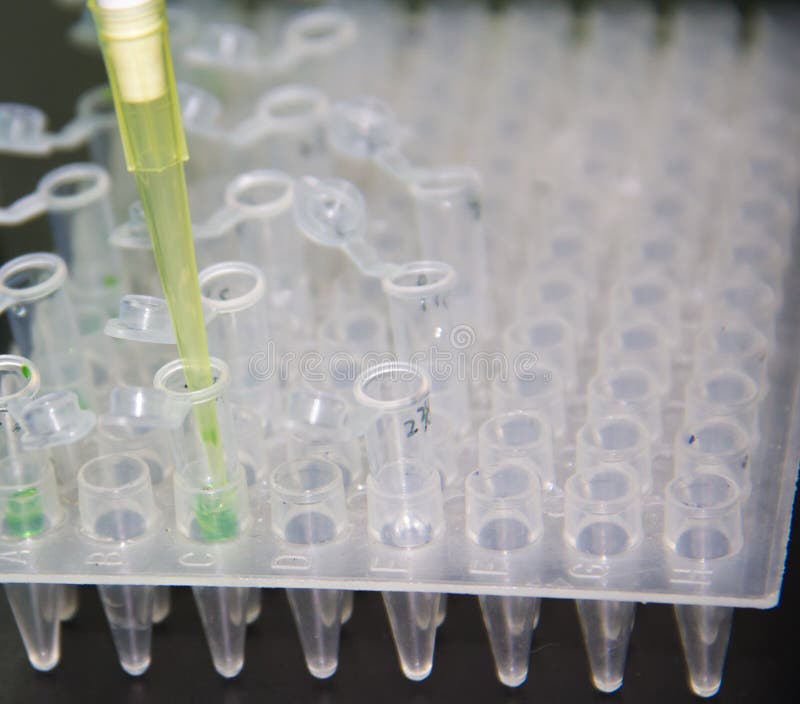 Adding Samples with Finnpipette Stock Photo - Image of consumables ...