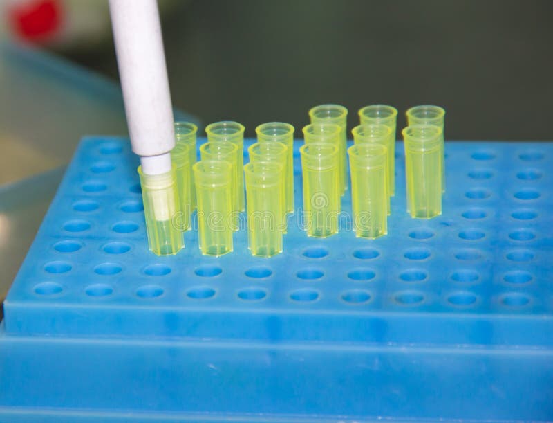 Adding Samples with Finnpipette Stock Image - Image of laboratory ...