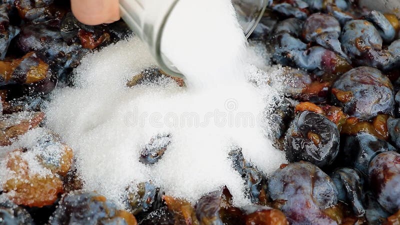 Adding Sugar Over Plums - in the Process of Cooking Plum Jam Recipe ...
